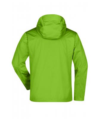 Men Men's Outdoor Jacket Spring-green/iron-grey-Daiber